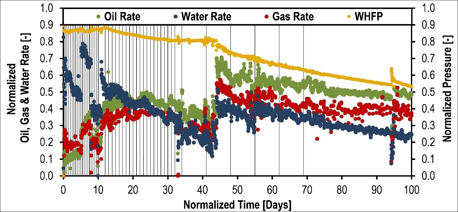 Advanced Reservoir Characterization in a Multi-Stage Horizontal Well ...